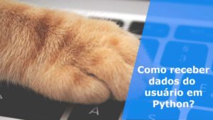 Como Receber Dados do Usuário em Python? - Vai programar