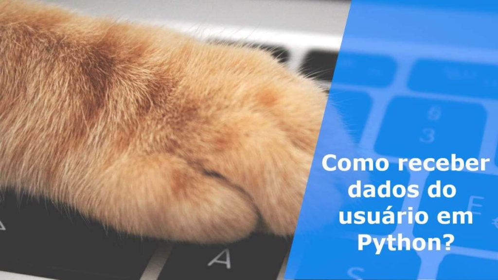 Como Receber Dados do Usuário em Python? - Vai programar